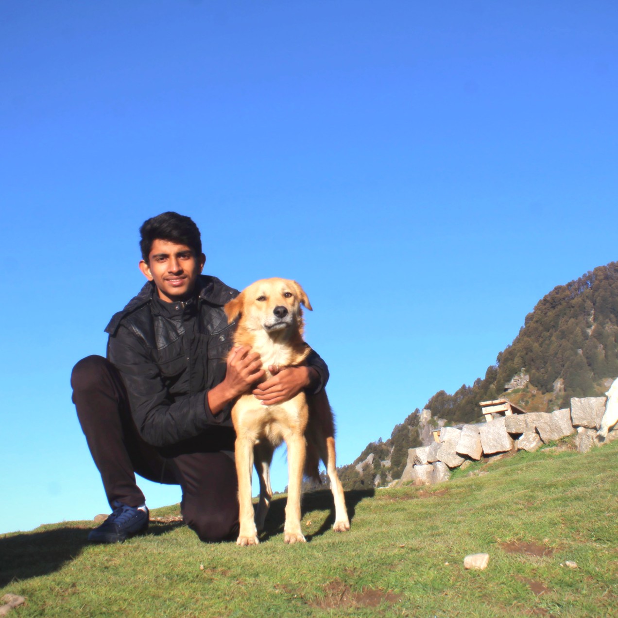 Richard Simpson Profile